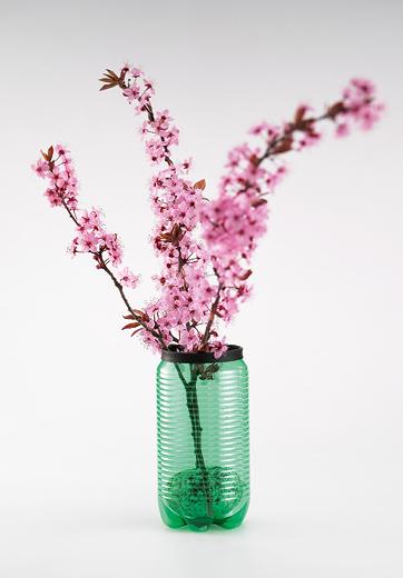 Gardens of my Life: Reciclando PET