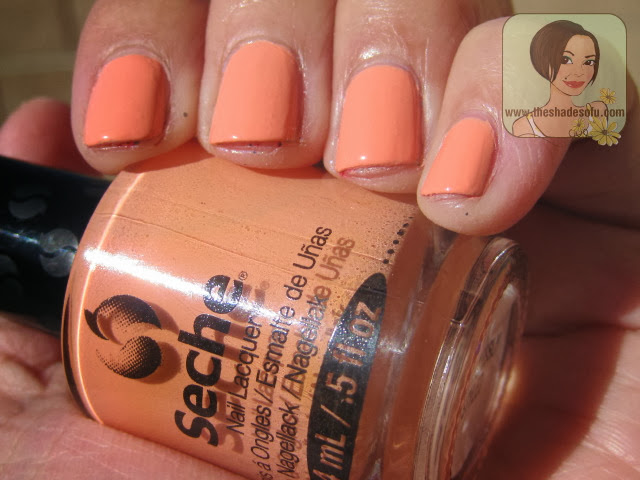 Seche Spring 2014 Perfectly Poised Collection Swatches, Review - The ...