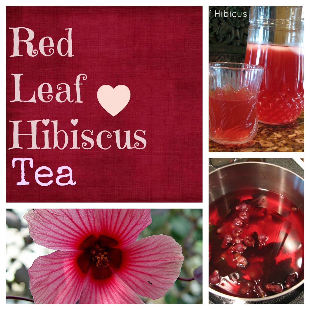 Jade Everyday: Red Hibiscus Lemon Tea
