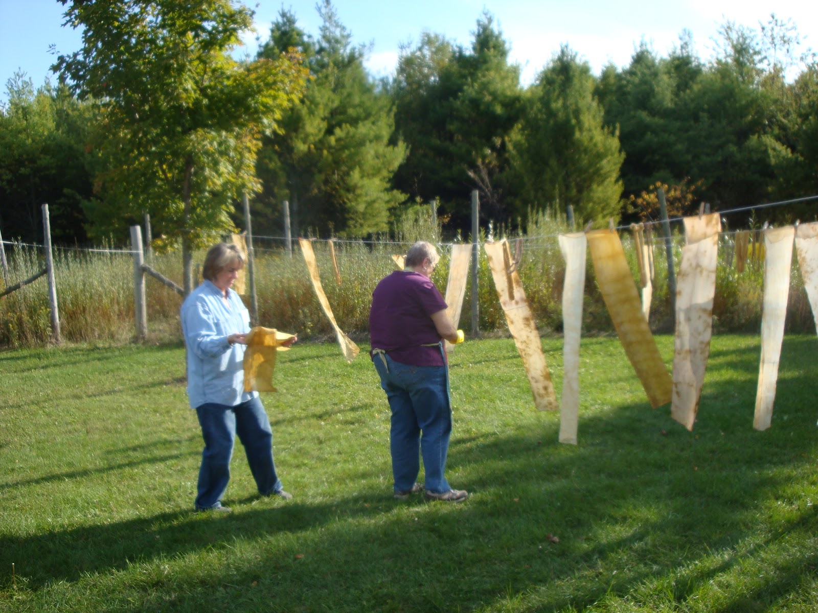 Two Red Threads: Harvesting Color -- Bracken