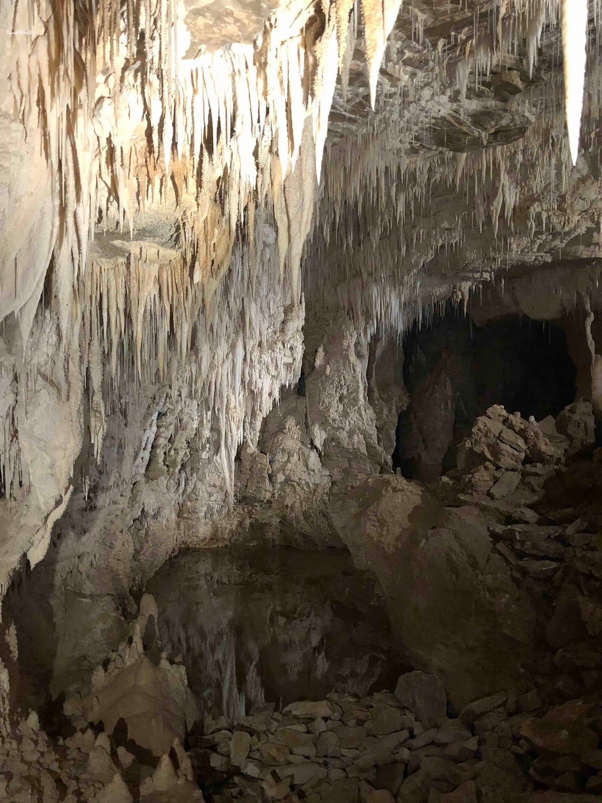 Hawaii Mom Blog: Visit New Zealand: Ruakuri Cave