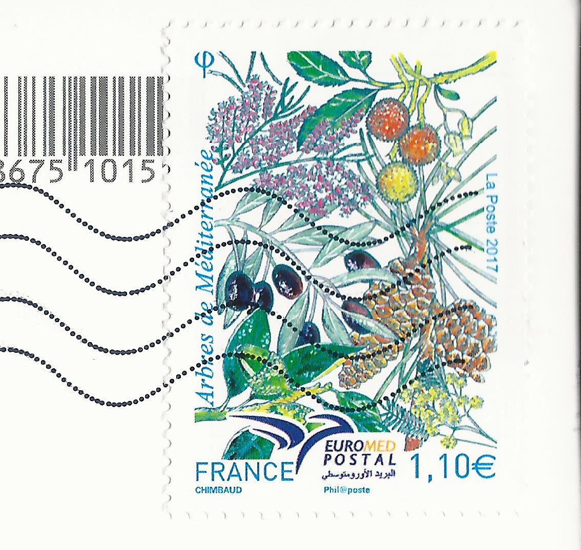 A Journey of Postcards: Avignon, La Cité des Papes | France