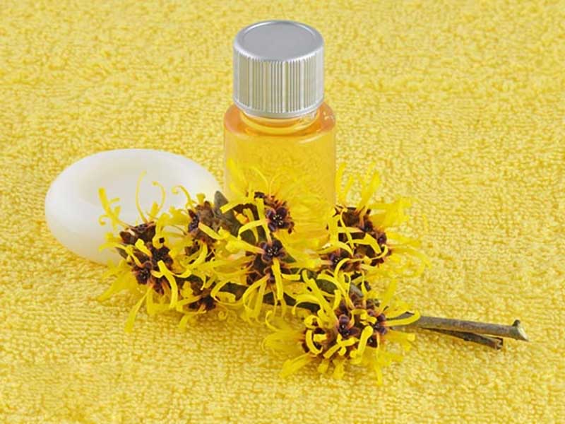 How To Treat Scabies Using Tea Tree Oil? | Dr Farrah MD