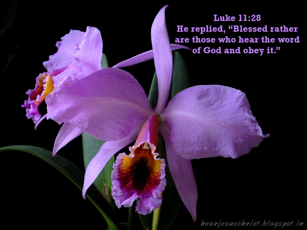 Bible verses thread.... (28) | Page 120 | Christian Forums