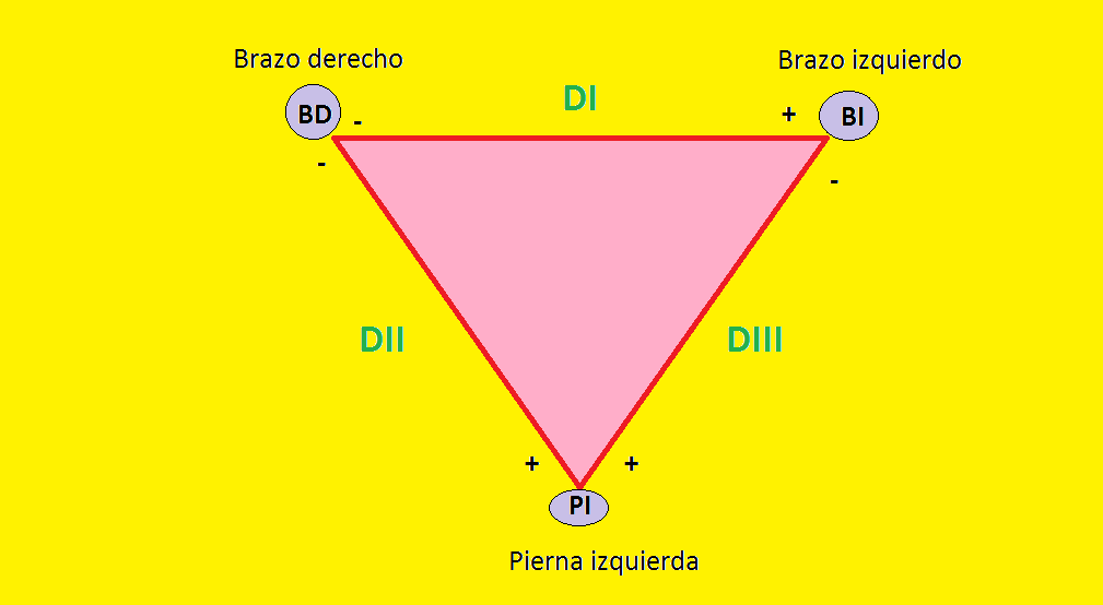 Dr. Rafael Soto - Electrocardiografía - Cardiología clínica: Triángulo ...