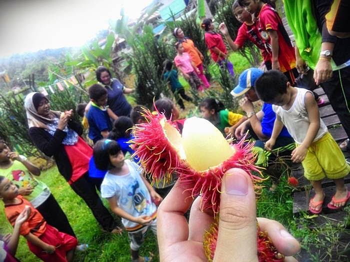 Gambar Riadah Petang Memetik Rambutan | SK Nanga Ju, Julau (YBB 6229)