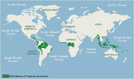GEOGRAPHY: FORM FIVE - CLIMATE AND NATURAL REGIONS - MAKTABA BORA