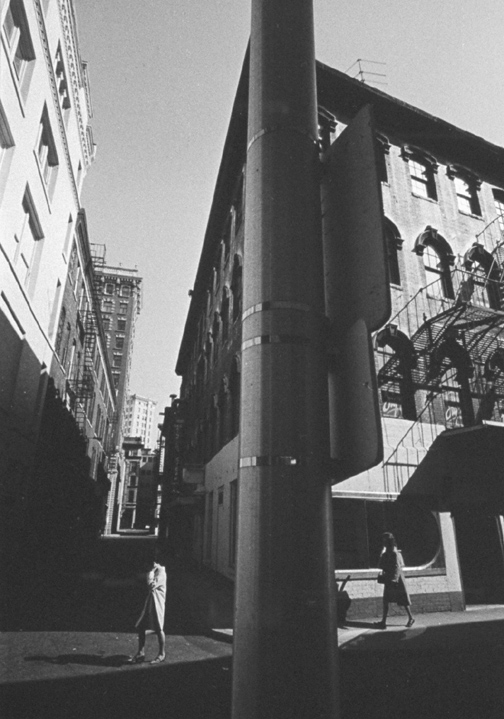 DRAGON: Harry Callahan / One of the most influential photographers