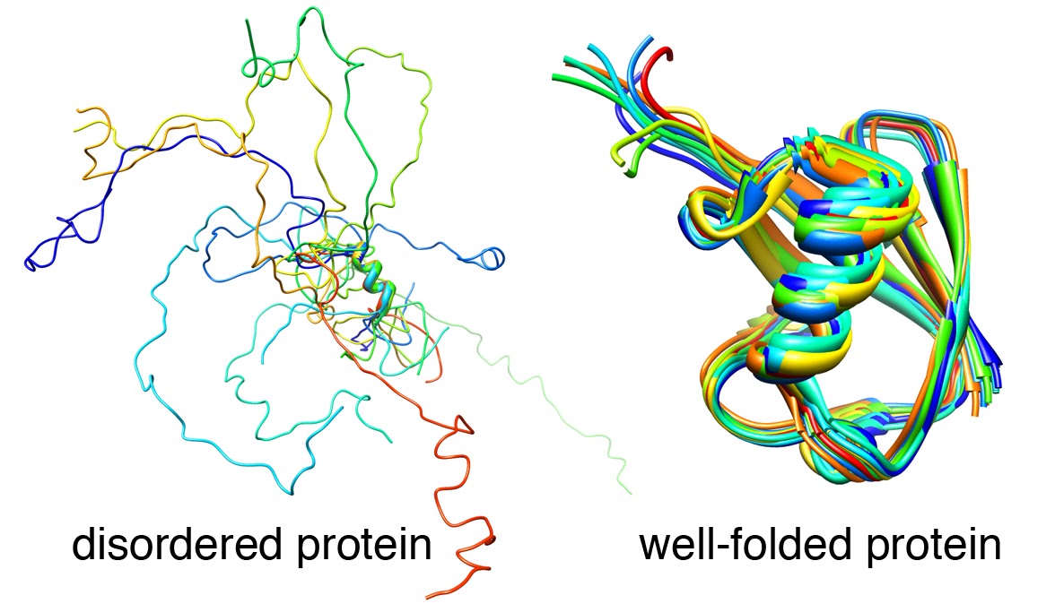 Intrinsically Disordered Proteins