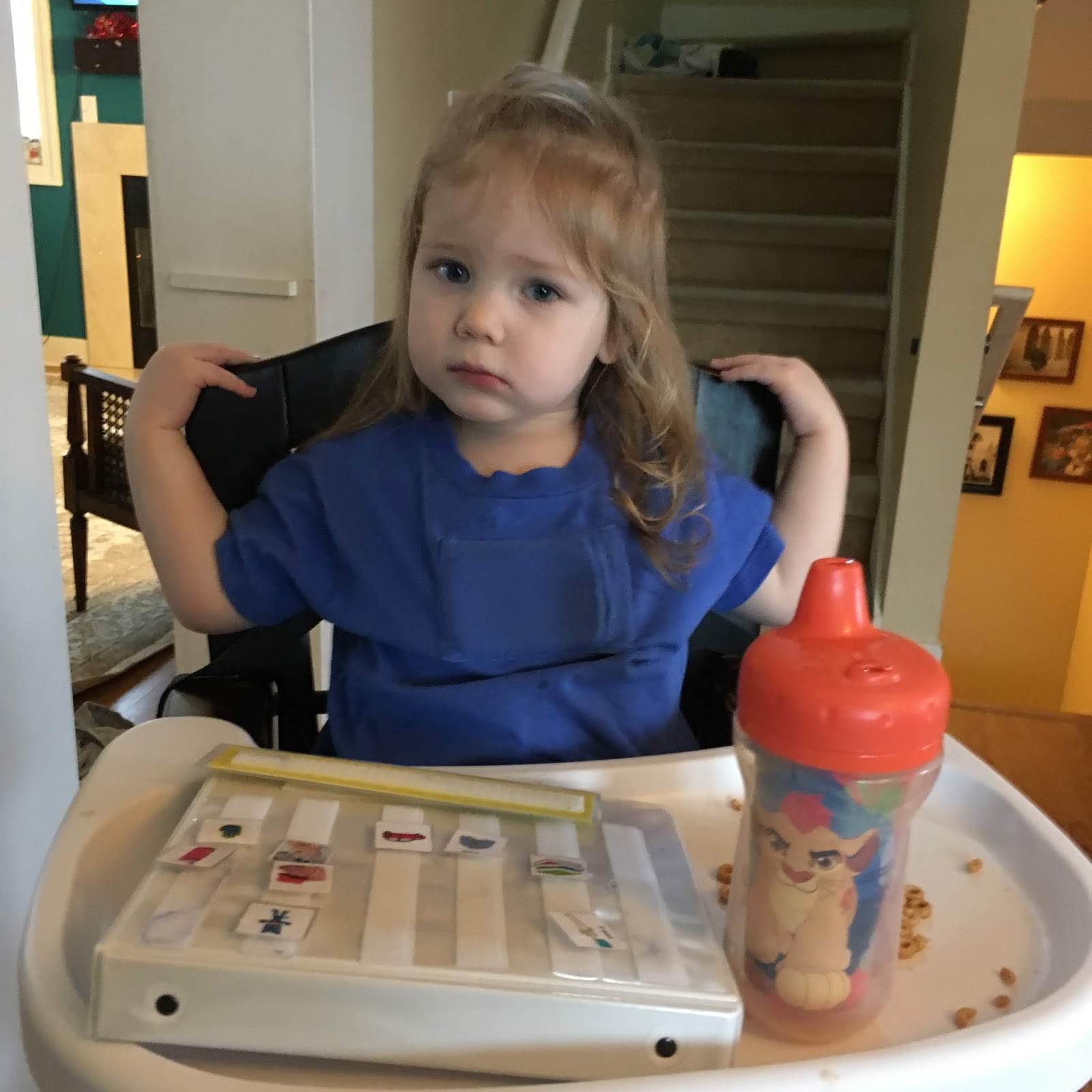 Someday I'll Sleep Autism Blogs: Tessie Rocking Her PECS Binder is the ...