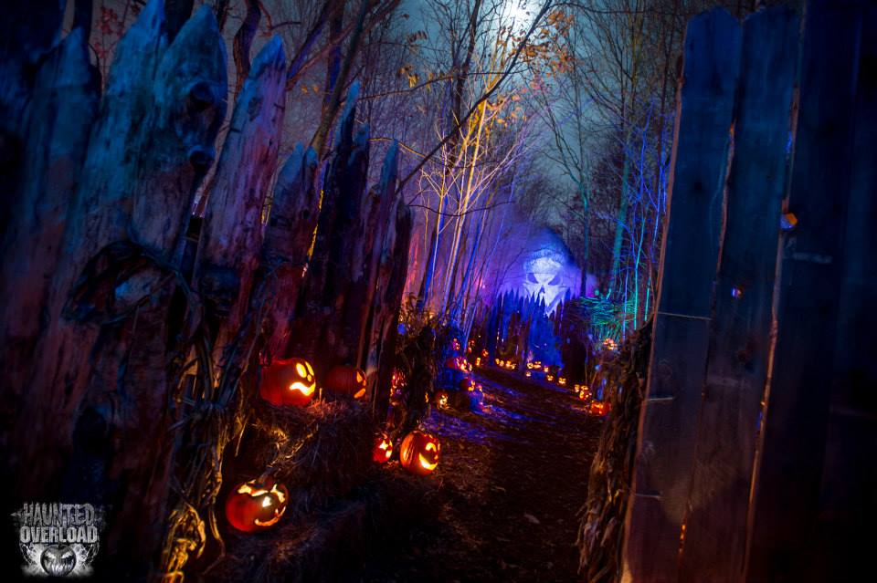 PUMPKINROT.COM: The Blog: More Haunted Overload