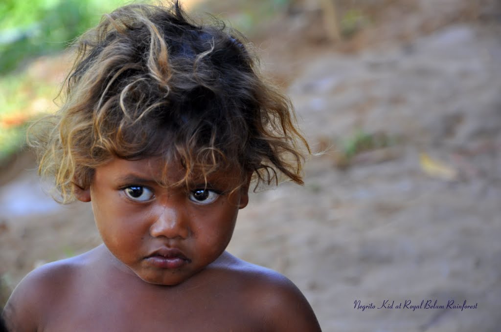 The Olive Journey: Jahai Tribe of Belum Rainforest - Temenggor, Malaysia