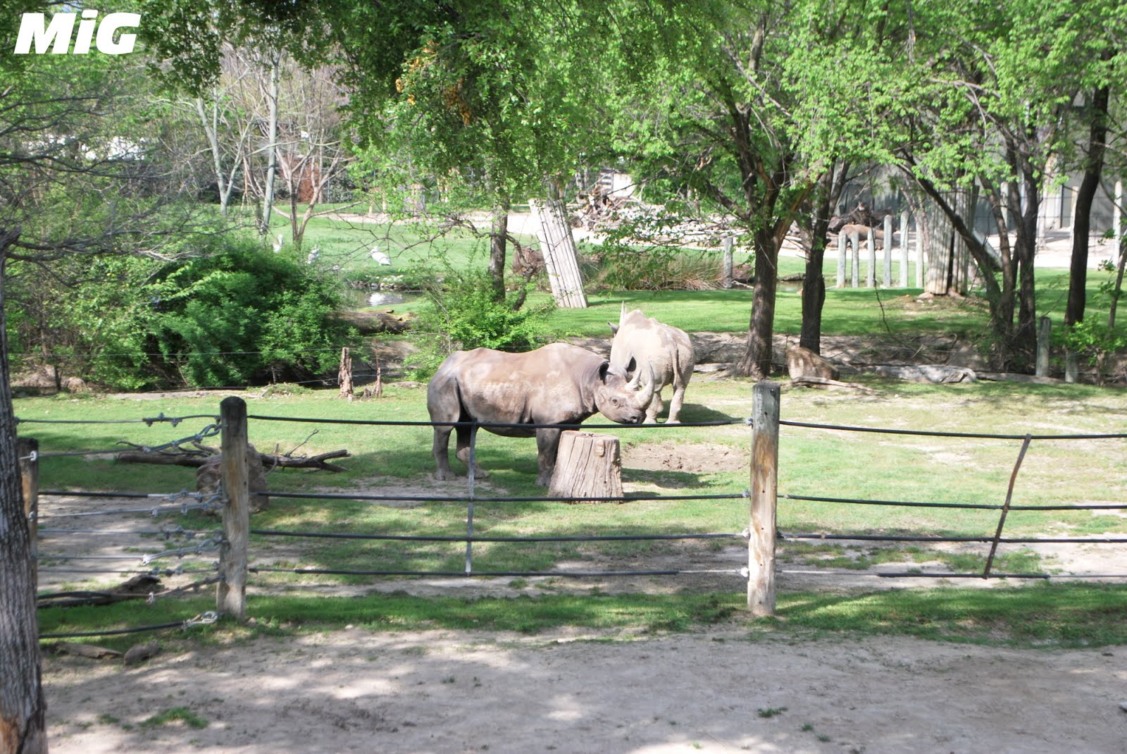 MidwestInfoGuide: Fort Worth Zoo