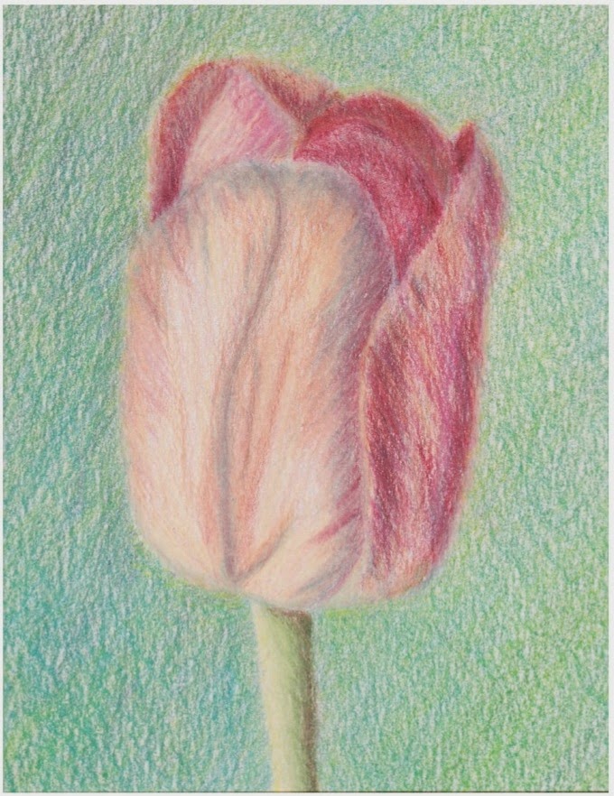 The Rolling Artroom: Drawing Class - 2nd Semester