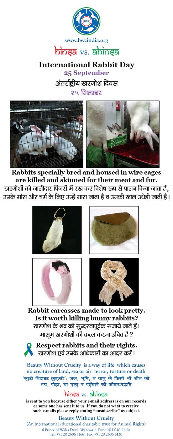 Knowing Yourself: International Rabbit Day -25 September