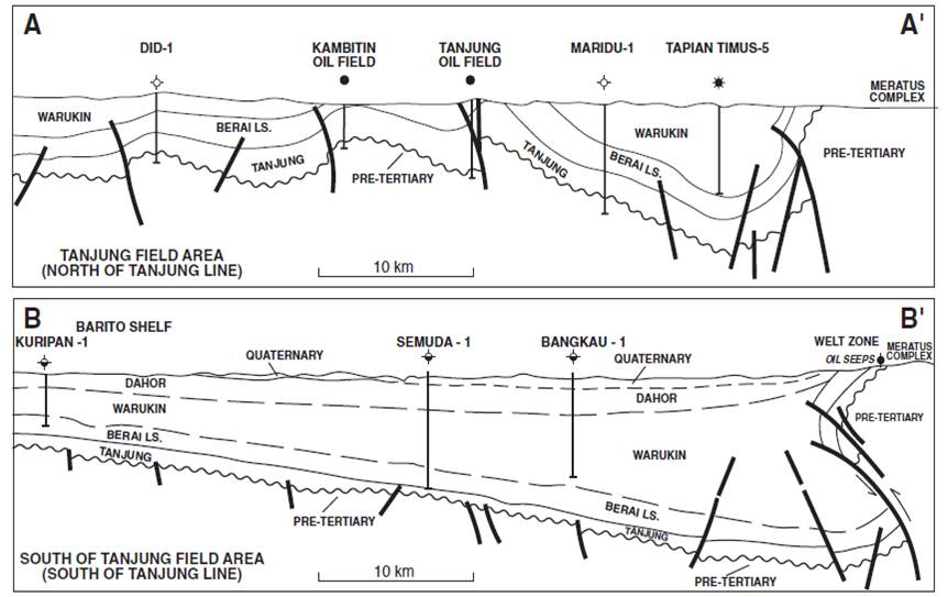Earth Stories: Barito Basin