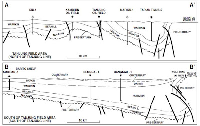 Earth Stories: Barito Basin