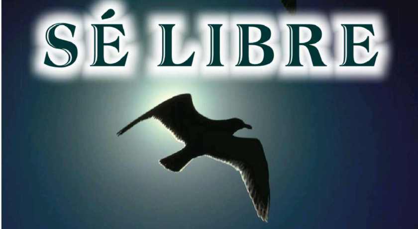 A LA LUZ DE LA PLUMA