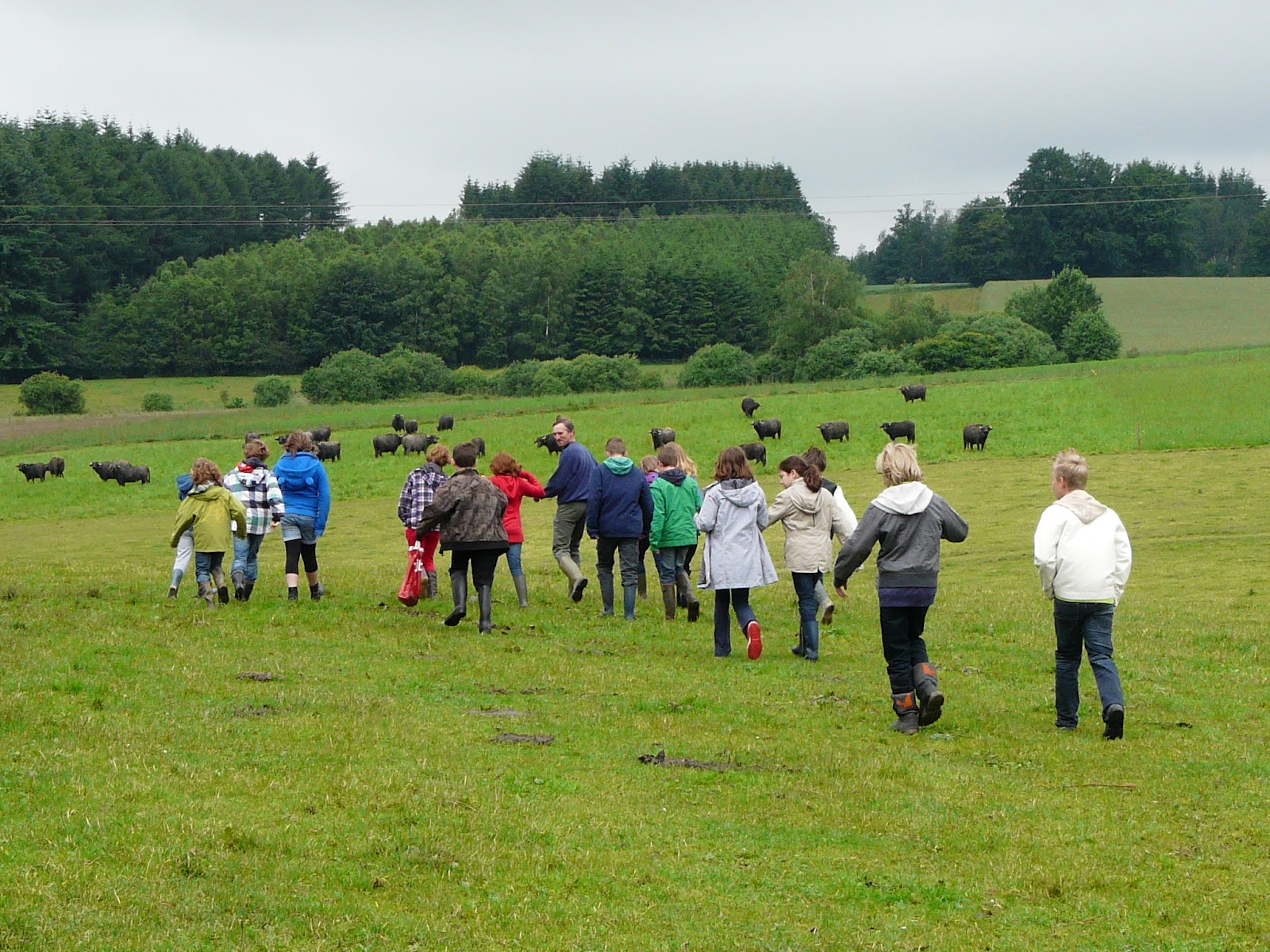 Blog de la 5e A de l'Institut Saint-Joseph de Neufchâteau: Visite de la ...