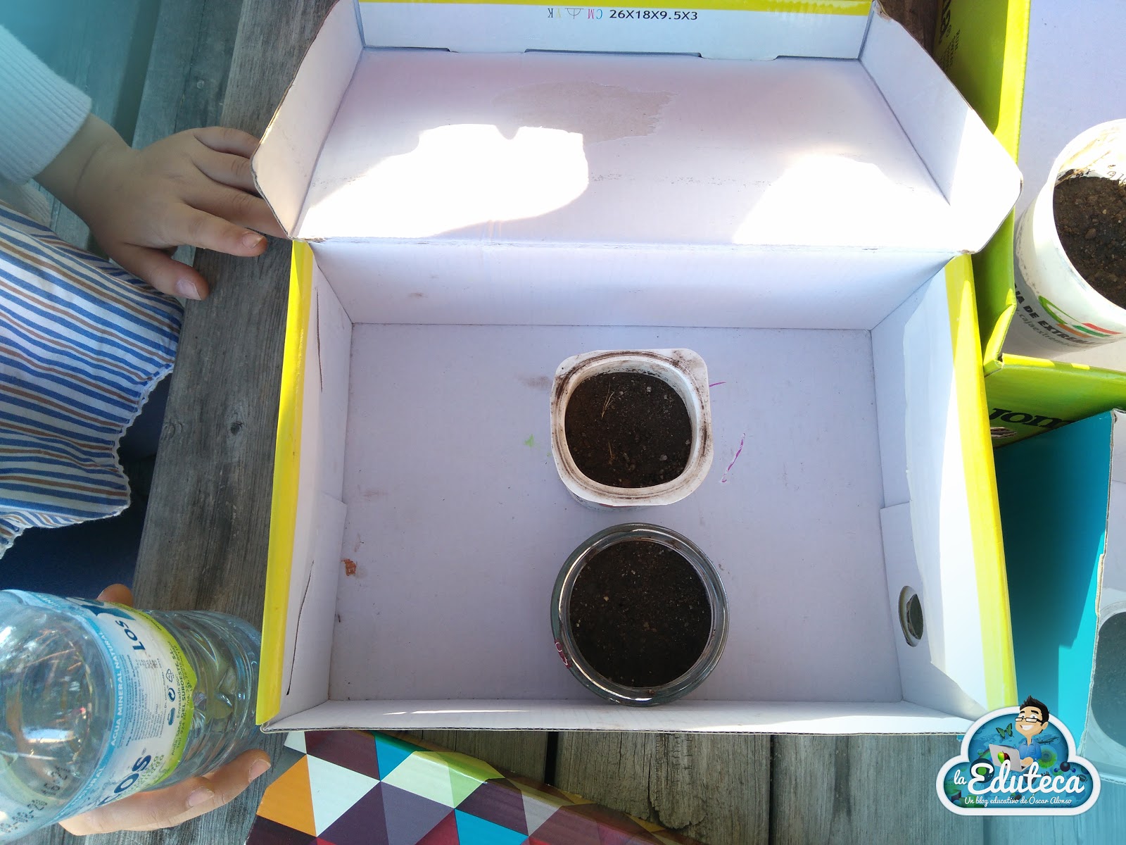 EXPERIENCIAS EN EL AULA | Experimentamos con las plantas y la luz ~ La ...