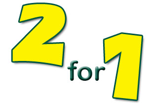 EFL teaching in Bratislava experiences: Two words for the price of one...