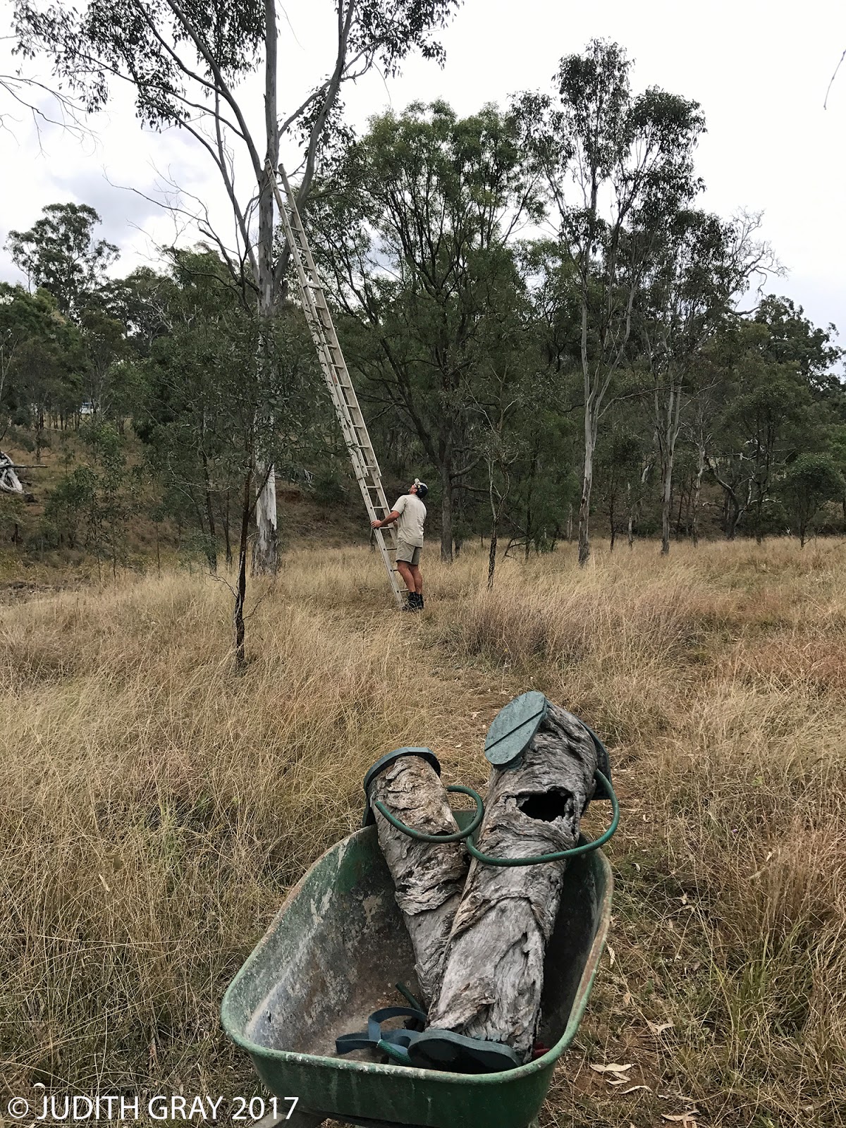 Re-purposed Hollow Log Nesting Box Installation