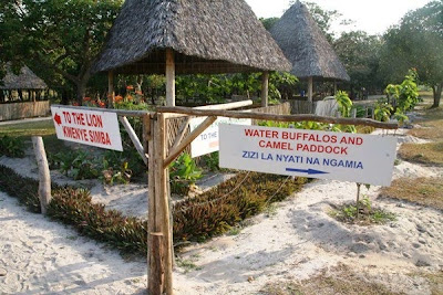 A visit to Dar es Salaam Zoo, Tanzania: a best kept place