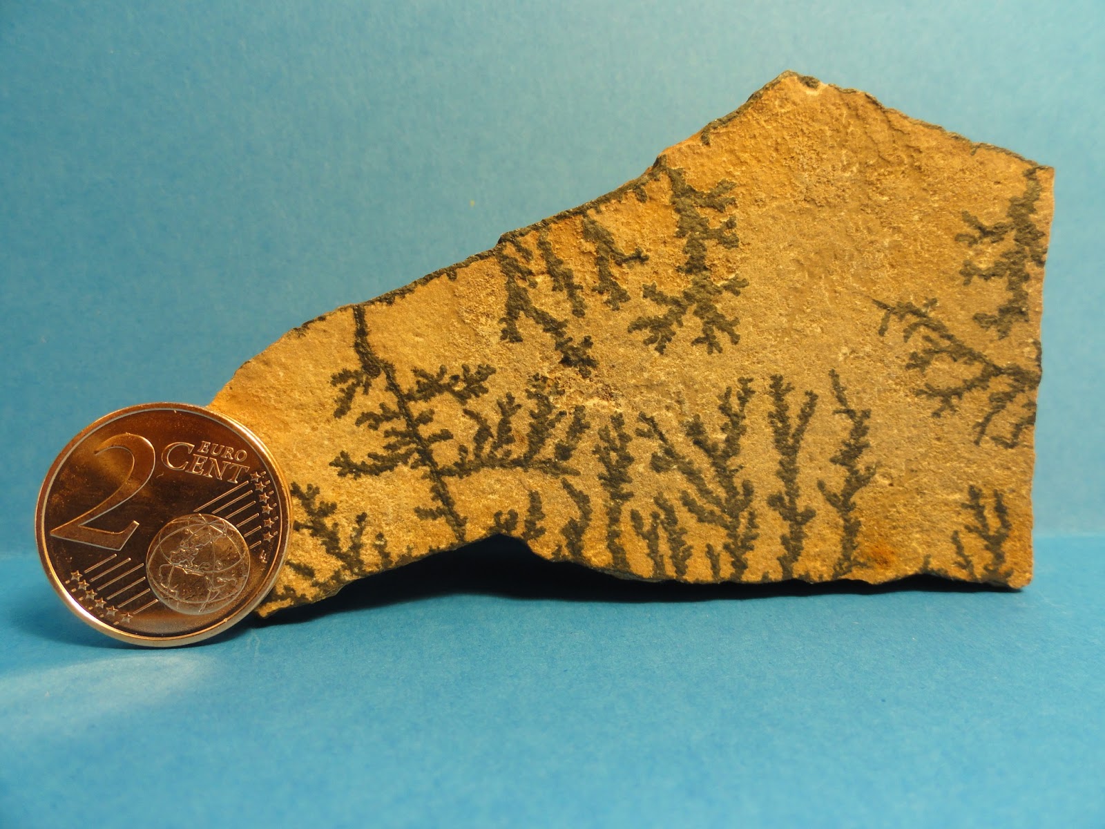 Mi colección geológica: Pirolusita y Oxidos de manganeso