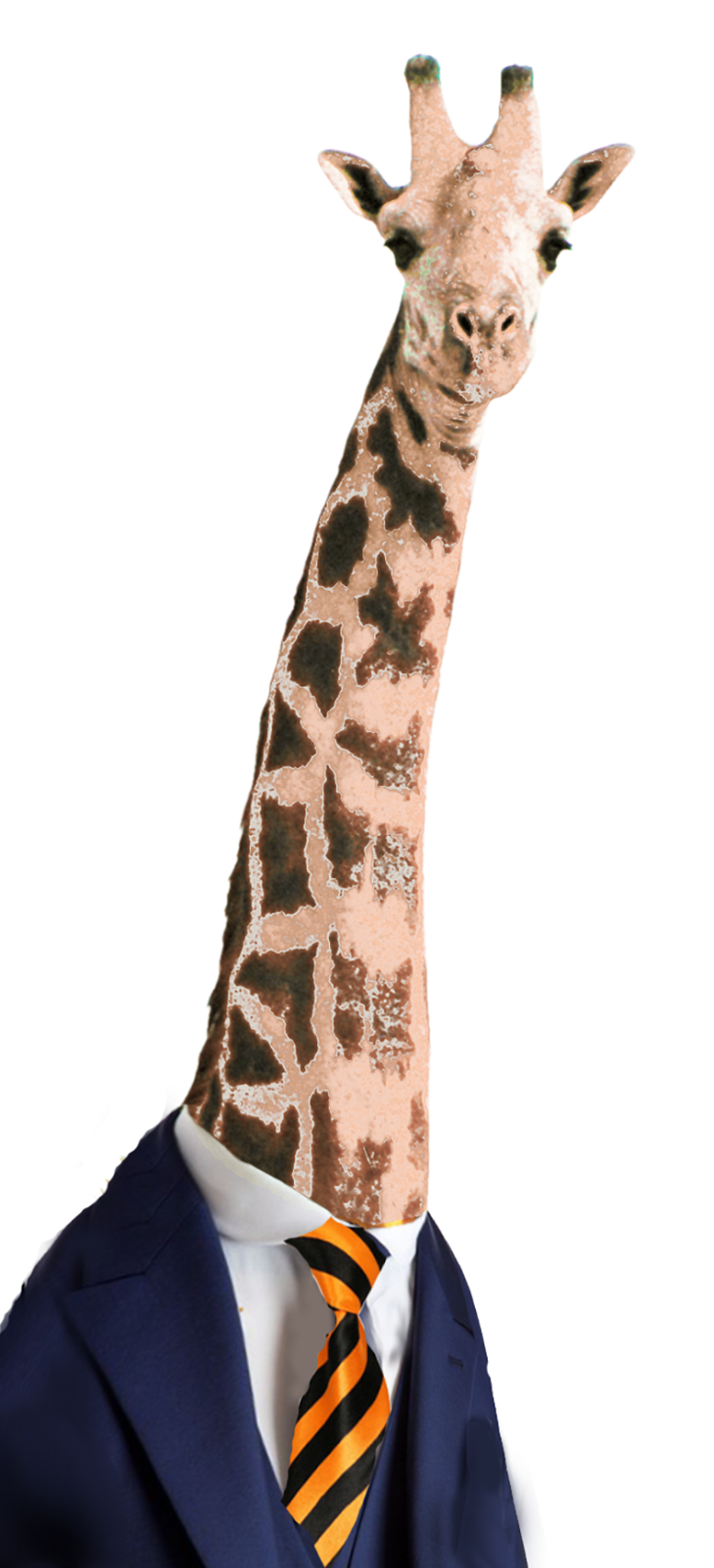 How Should a Giraffe Tie His Necktie