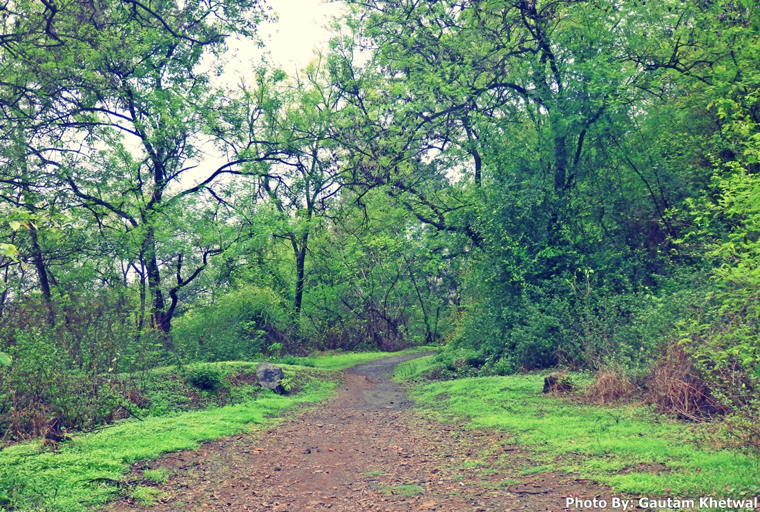Yeoor Hills, SGNP, Thane