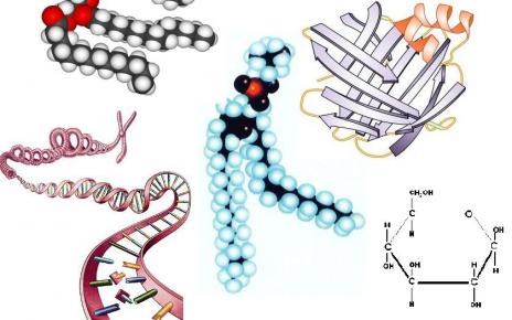 El Maravilloso Mundo de la Química y la Física: MOLÉCULAS BIOLÓGICAS