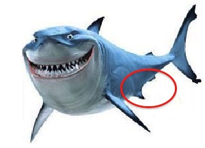 Biodiversity: Disney, Pixar, and Sharks