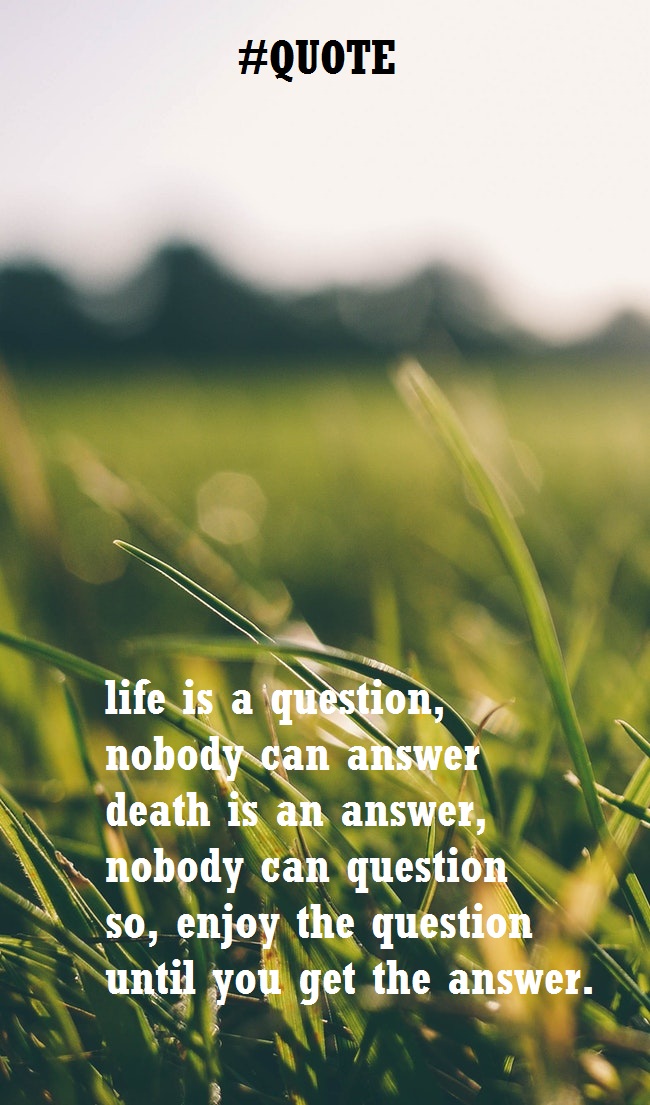 Life Is A Question | I Think