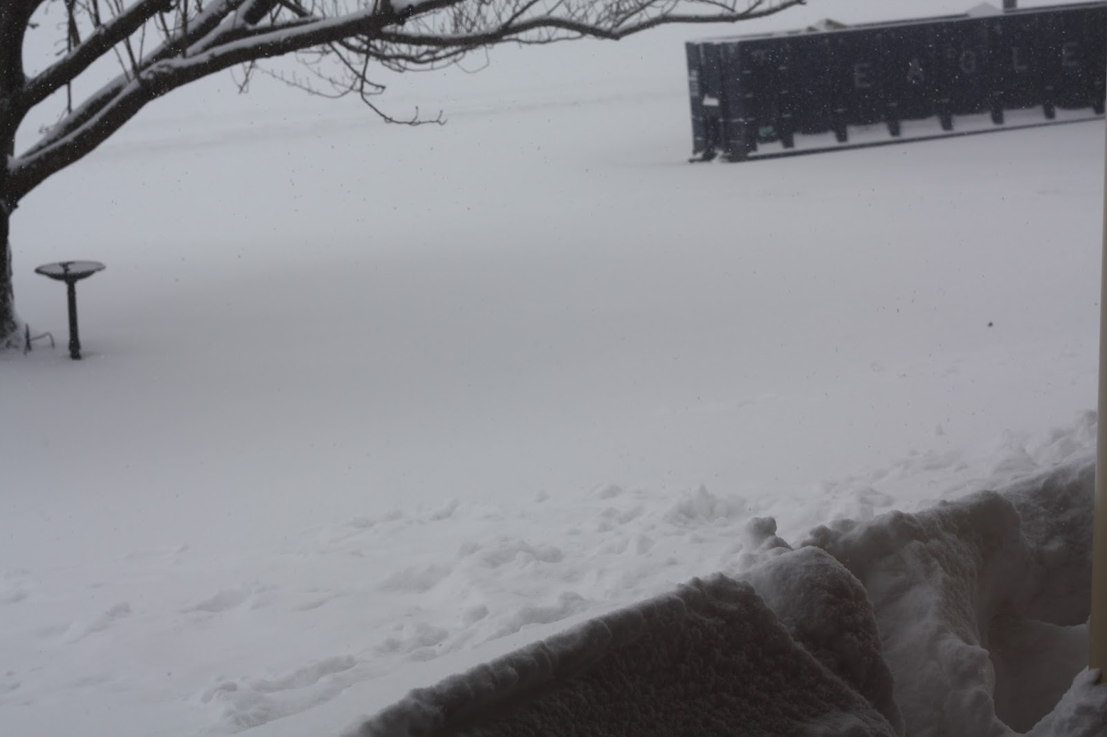 Real Life: Snowed in ... blizzard style!