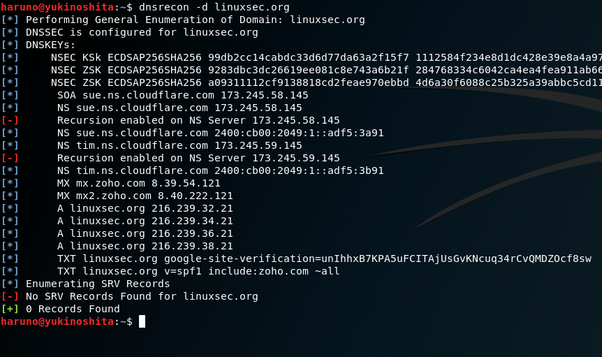 Enumerasi Catatan DNS dengan DNSRecon - LinuxSec