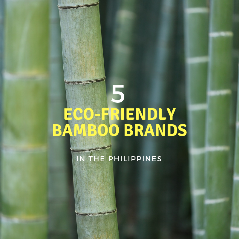 5 Eco-Friendly Bamboo Brands in the Philippines - Hello Green Beauty