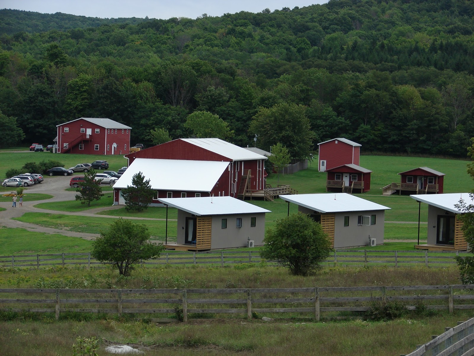 Sandra Scott's Travel Columns: Farm Sanctuary in New York State