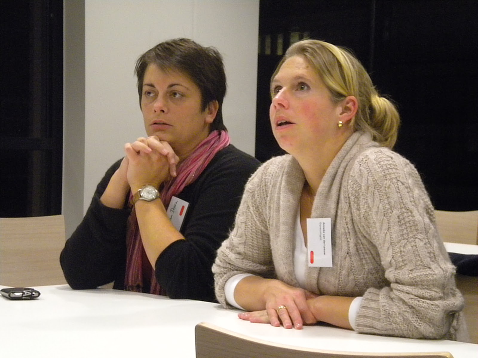 Not Running a Hospital: Dutch doctors thank Helen Haskell