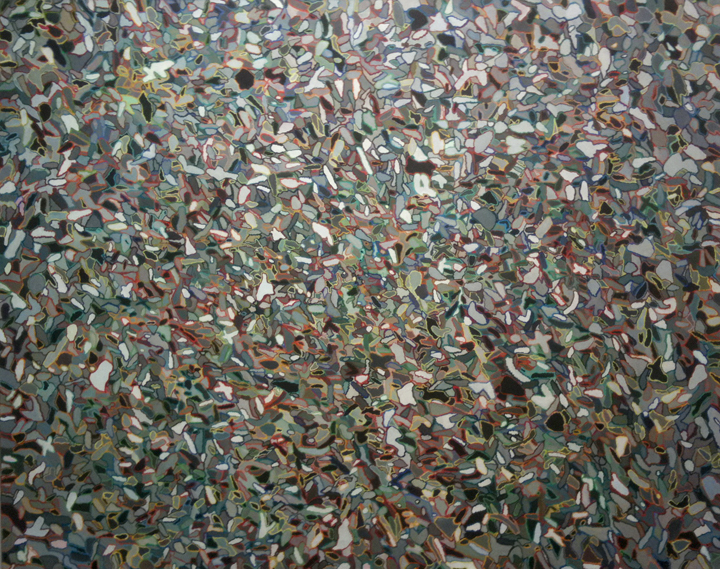 Proximity: Thomas Nozkowski and Joyce Robins – Two Coats of Paint