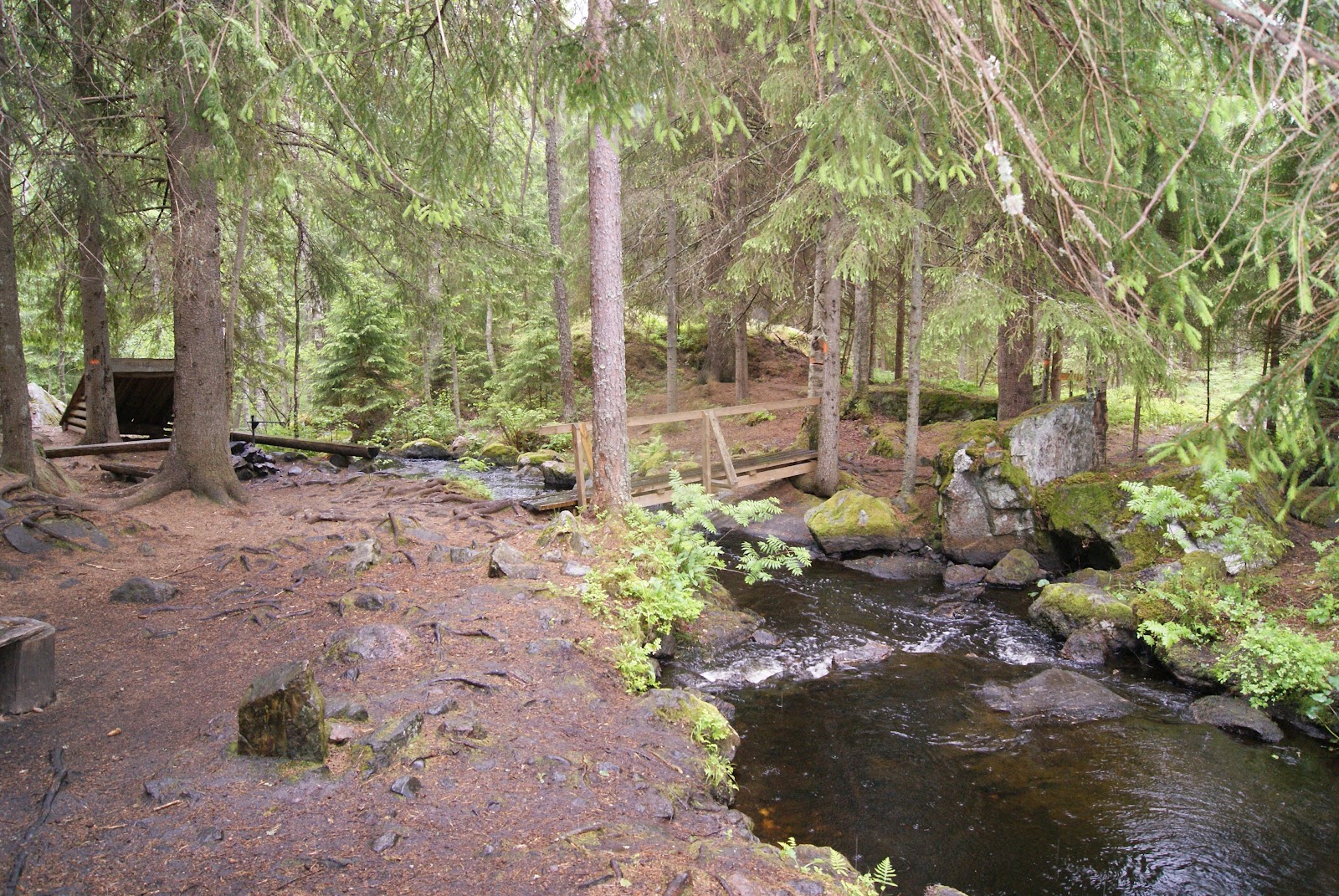 Makkerin blogi: Lääväkorven - Syväjärven reitti, Ruokolahti