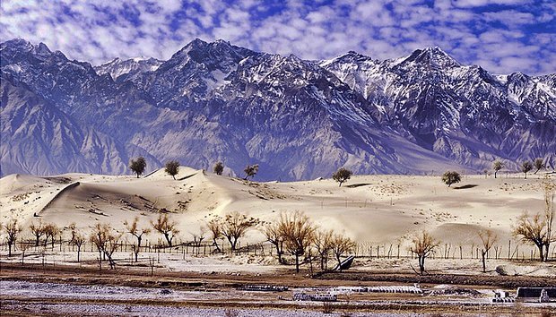 Four deserts of Pakistan & Cholistan Jeep Rally - Trango Tours