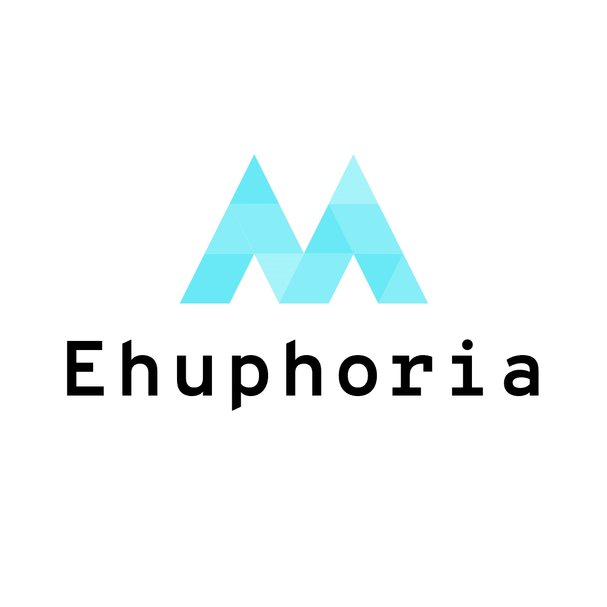 How did NASA launch the Space Shuttle ~ Euphoria-World