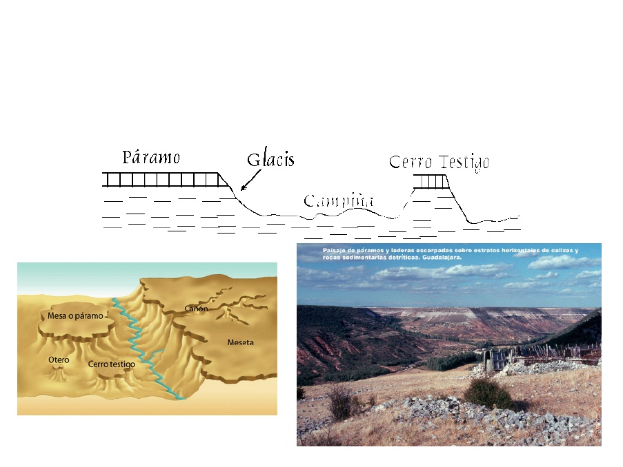 derivacontinental2000