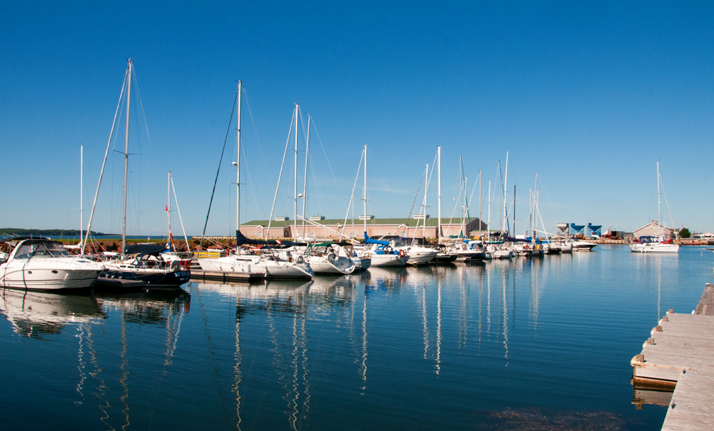 Follow The Sykes Birds: Prince Edward Island at Cabot Beach