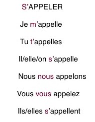 La Estudioteca *: VERBES