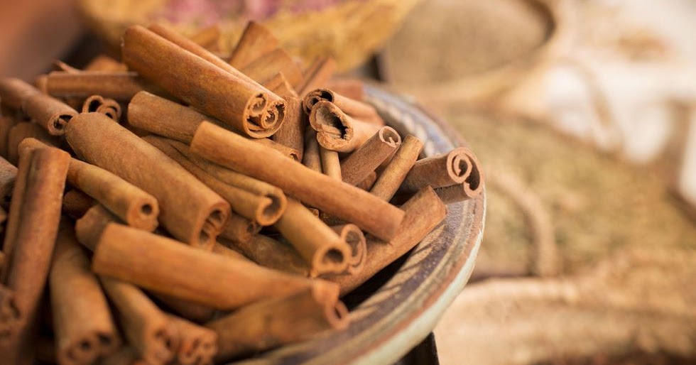 Ciri-Ciri Tanaman Kayu Manis Manfaat dan Khasiatnya