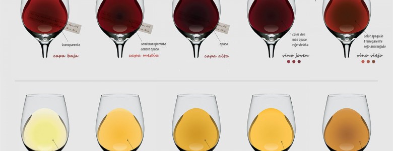Le Sommelier: El color del vino