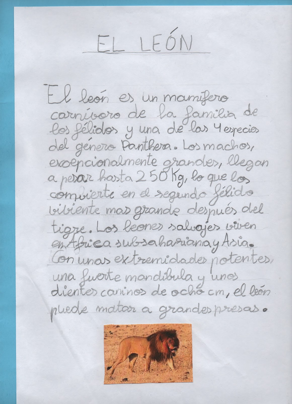 Segundo B San Sebastián: Descripción: El león.