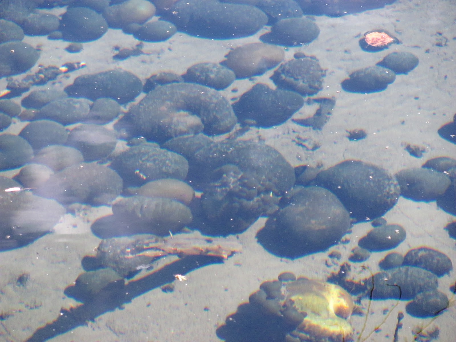 Edge of the Hills: Magic of Mare's Eggs