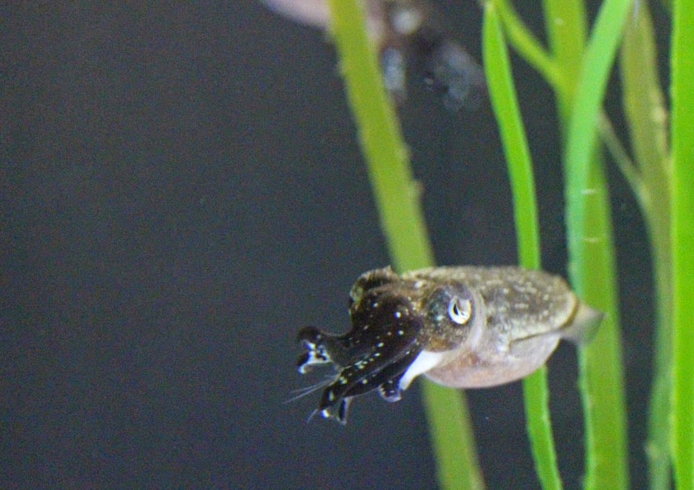 Exhibit Galleries Blog